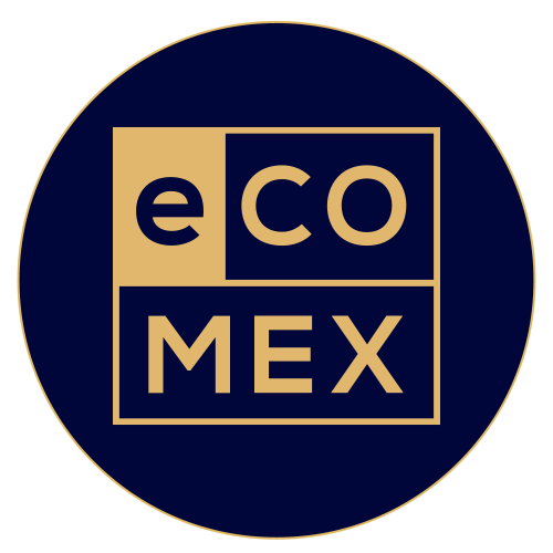 eCOMEX NSI conquista ISO 27001 - eCOMEX
