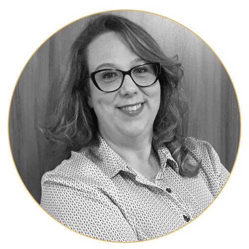 eCOMEX NSI - Portal Único Siscomex, Evolução do COMEX Brasileiro